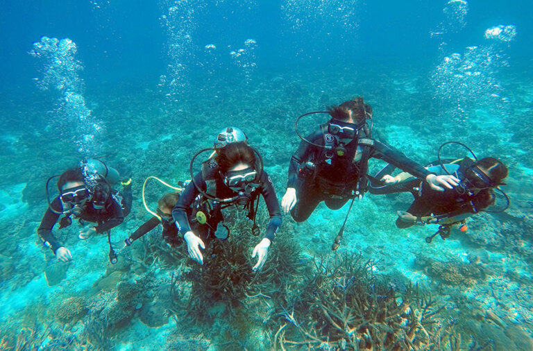 Cebu. Attractions. How to get